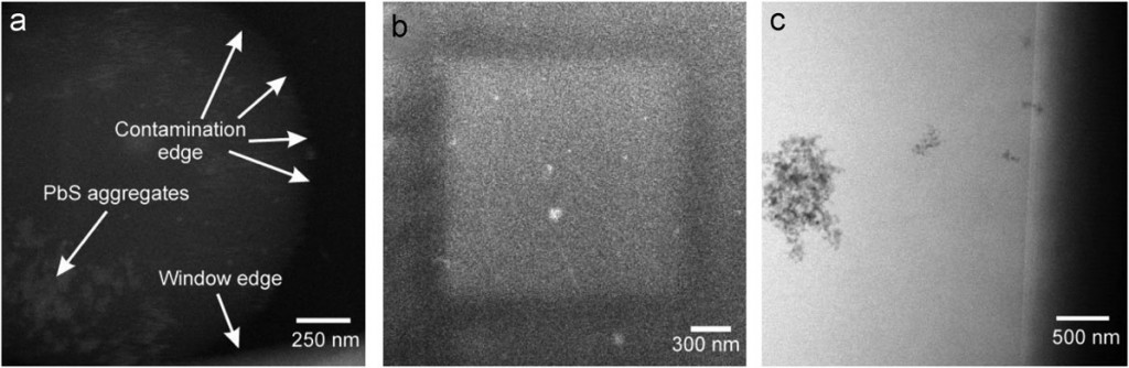 Publications – Ristenpart Research Group